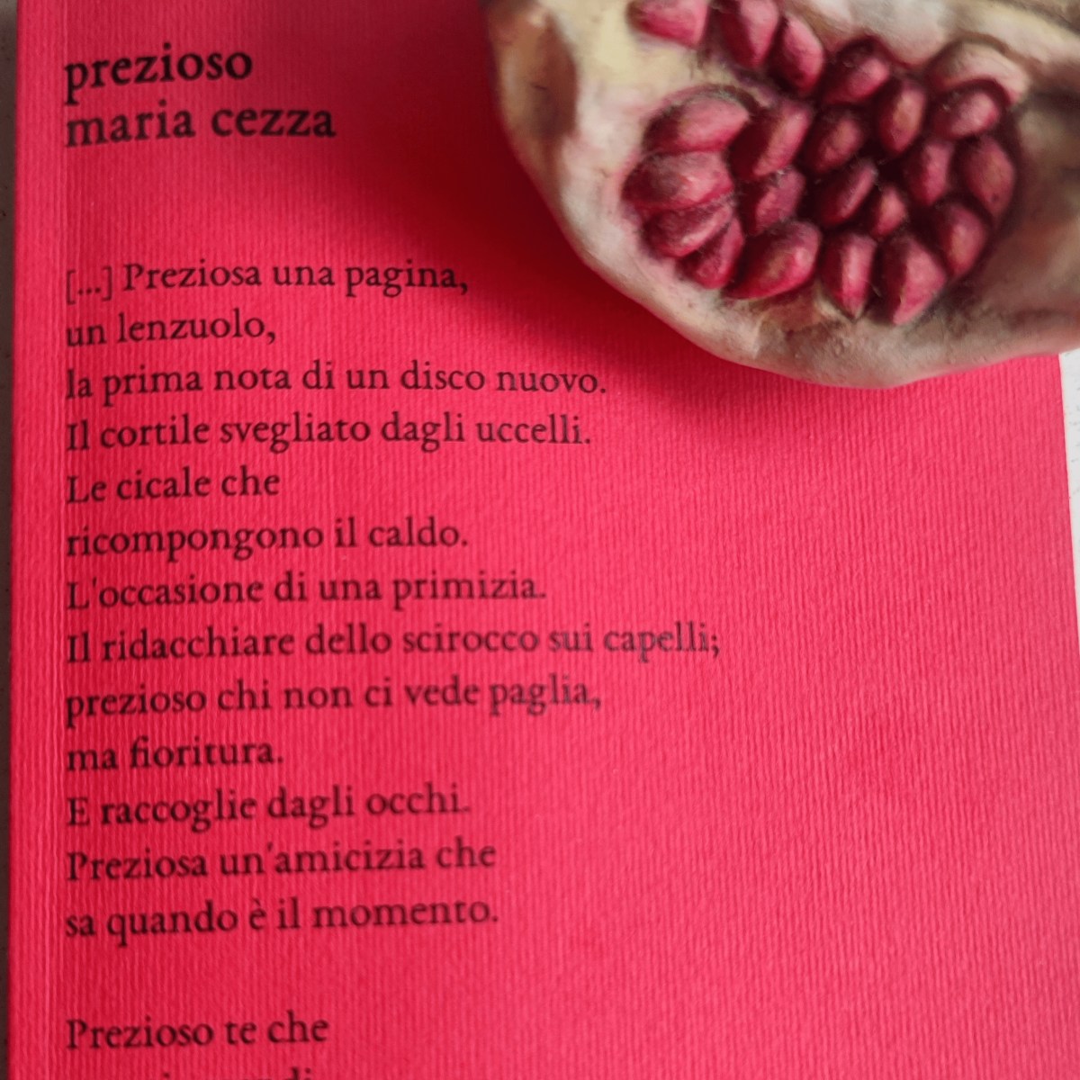 Prezioso di Maria Cezza, nota di lettura Anna Rita Merico – NEOBAR